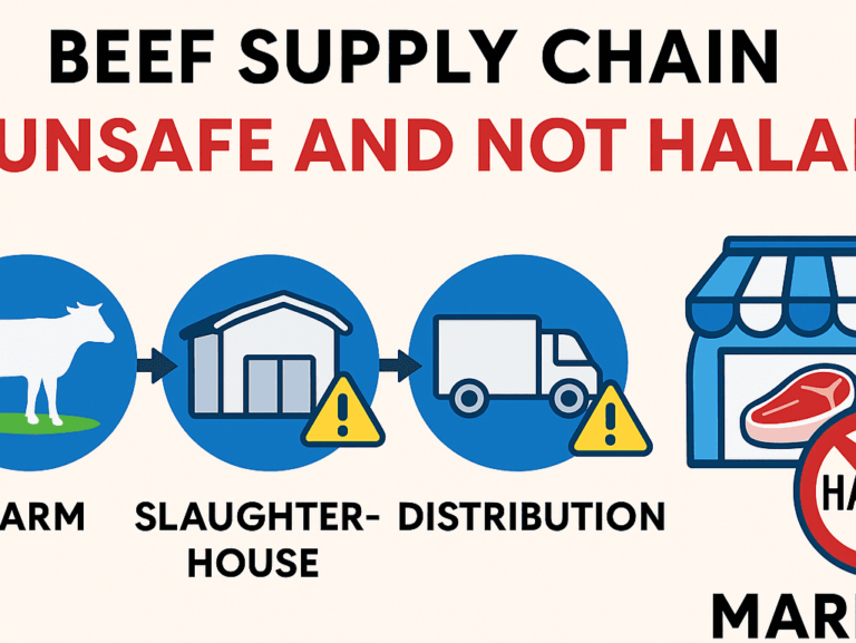 Celah Rantai Pasok Daging Sapi Ancam Keamanan Pangan dan Kehalalan